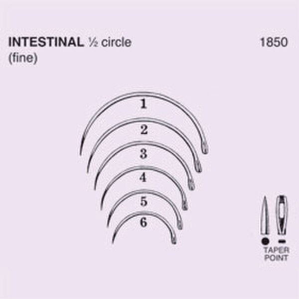 Intestinal Fine 1/2 Circle Surgical Suture Needles, Taper Point, Size 5 ...