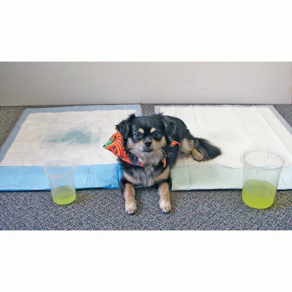 Absorbane Kennel Pads, 23in x 36in, J1082, 50/Pack | Med-Vet International