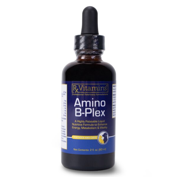 Amino B-Plex Solution, For Dogs and Cats, 2 fl oz (60mL), Each | Med ...