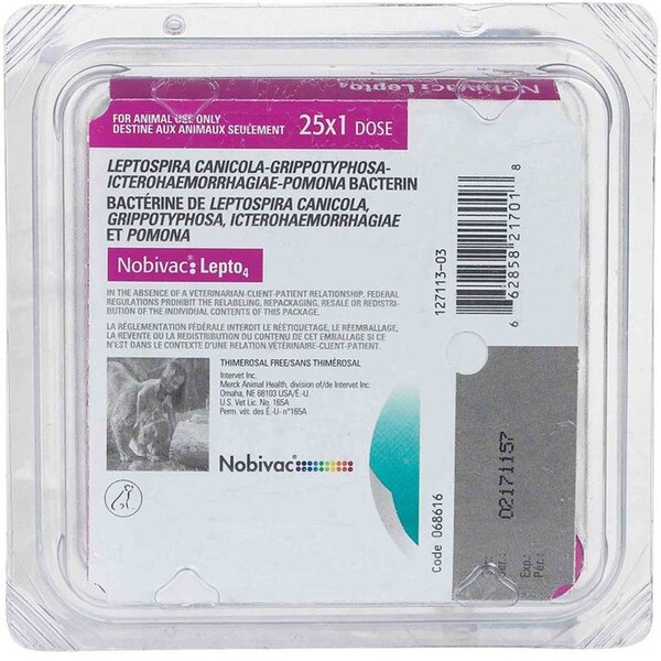 Nobivac Canine Vaccine LEPTO4, 25x1 Dose Tray | Med-Vet International