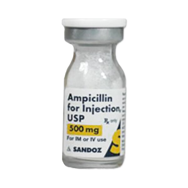 Ampicillin Injection (principen) 500mg, 10mL Vial Powder, 10/Pack | Med ...