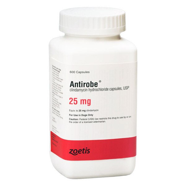 Zoetis Antirobe Capsules, 25mg, 600ct. Clindamycin | Med-Vet International