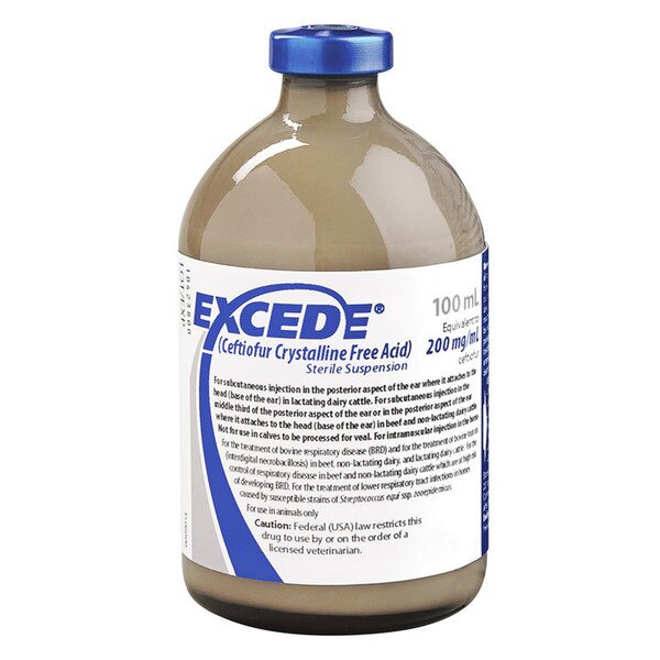Excede for Cattle and Equine, 200mg/ml, 100ml | Med-Vet International