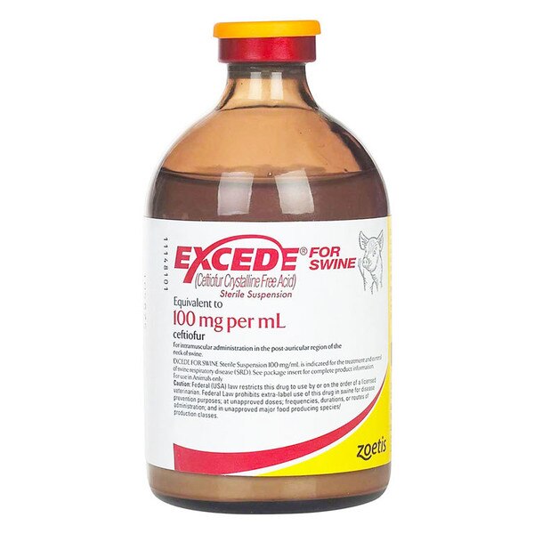 Zoetis Exced for Swine, 100mg/ml, 100ml | Med-Vet International