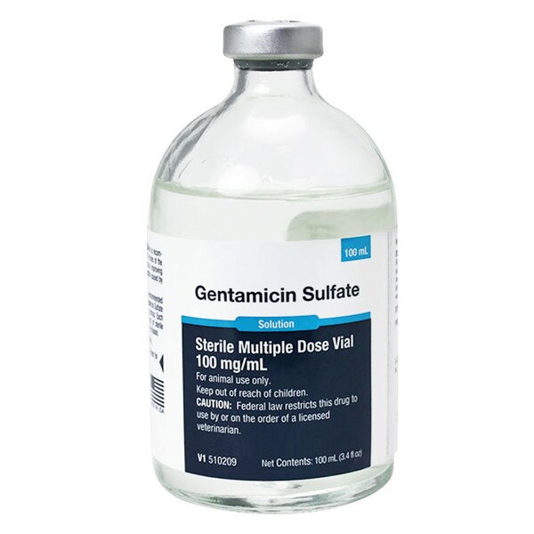 Gentamicin Injection (generic Garamycin), 100mg/mL, 100mL | Med-Vet ...