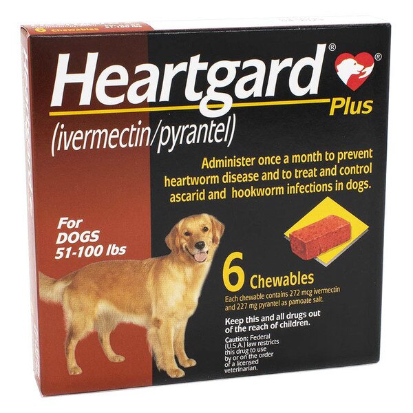 Heartgard Plus Chewables, Large Dogs 51-100 lbs, 6 Doses | Med-Vet ...