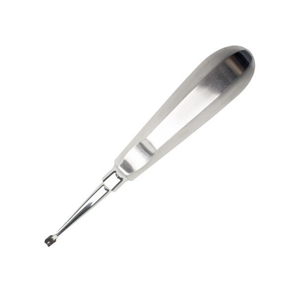 5mm Winged Dental Elevator, Stainless Steel | Med-Vet International